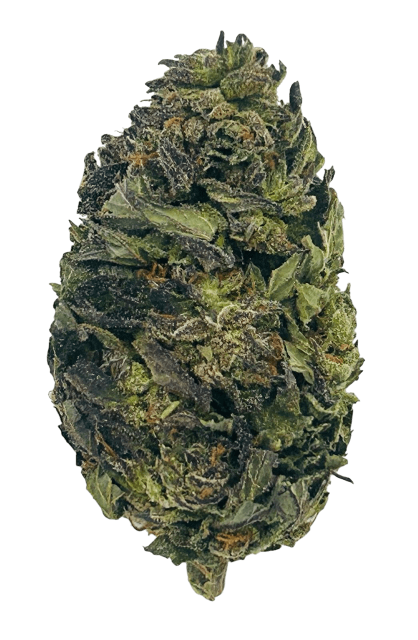 Permanent Marker | Premium Cannabis Canada | Mohawk Medibles